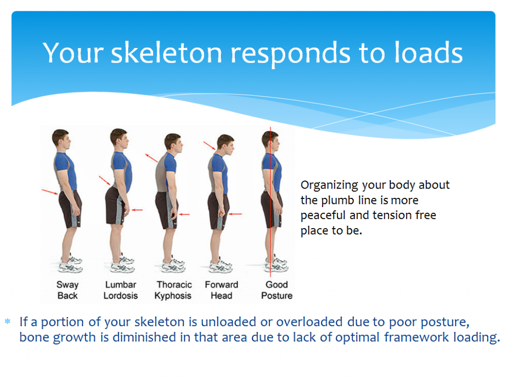 CoreFocused – Bone health depends on optimal posture
